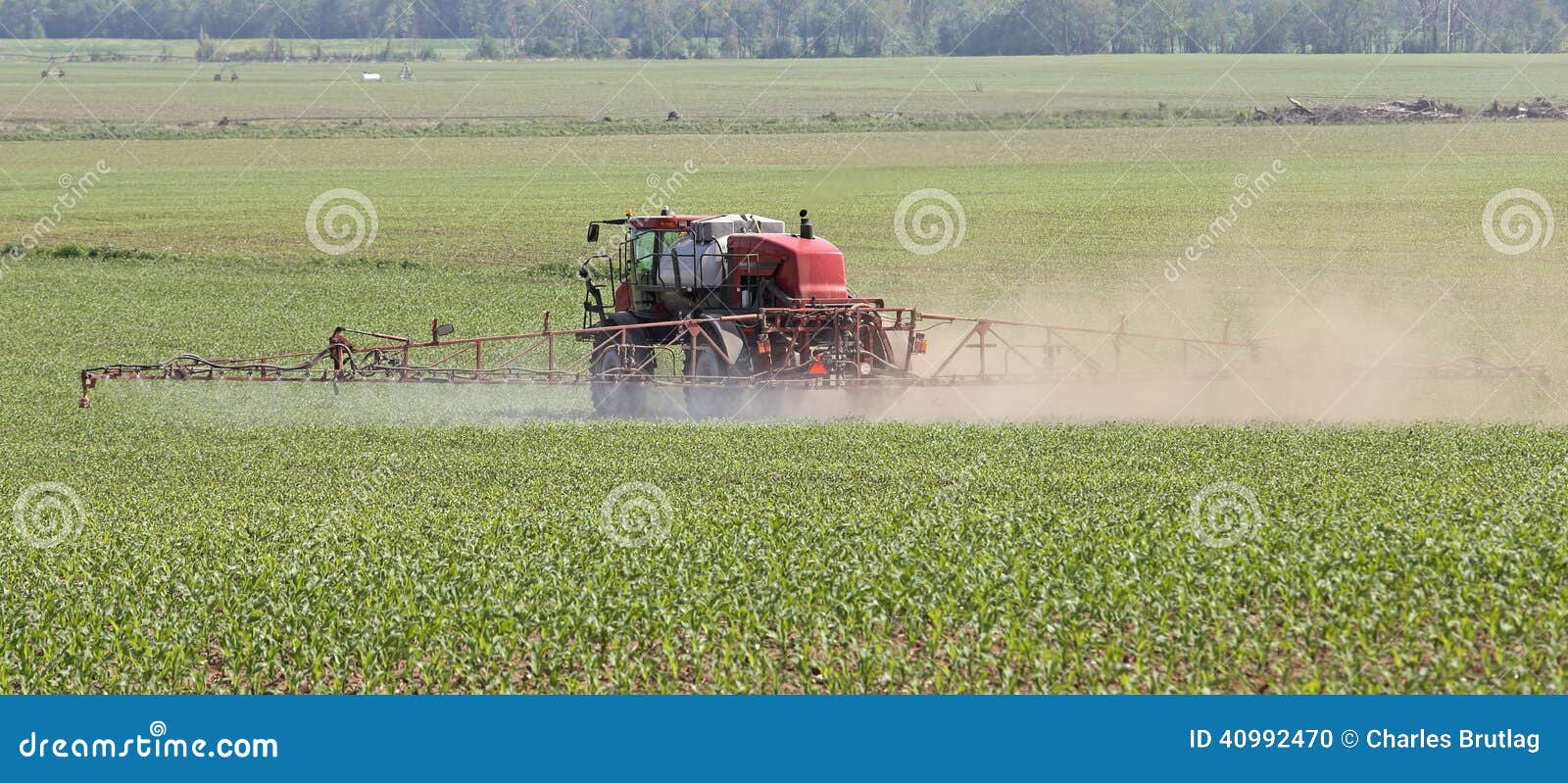Spray Corn Field stock photo. Image of farming, herbicide - 40992470