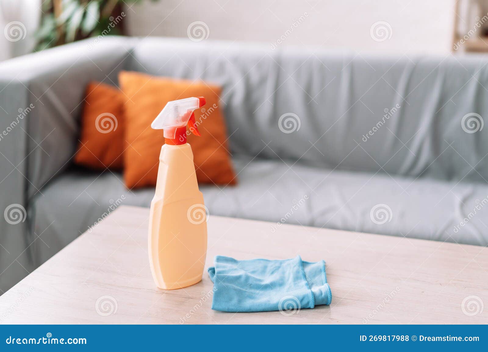 Spray with Detergent and Blue Rag on the Table Opposite the Sofa Stock ...