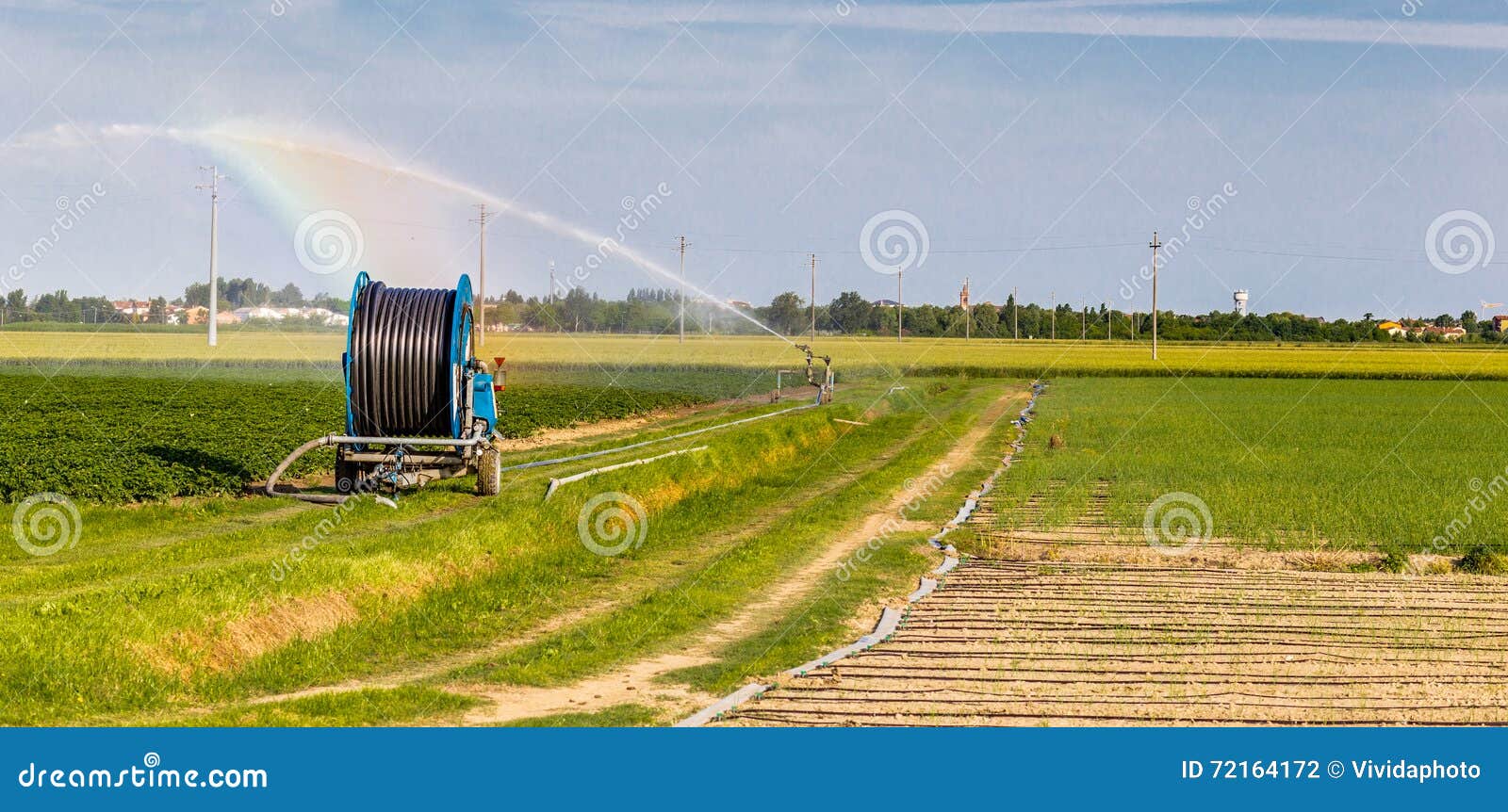 Spray Irrigation in the Fields Stock Photo - Image of nature, water ...
