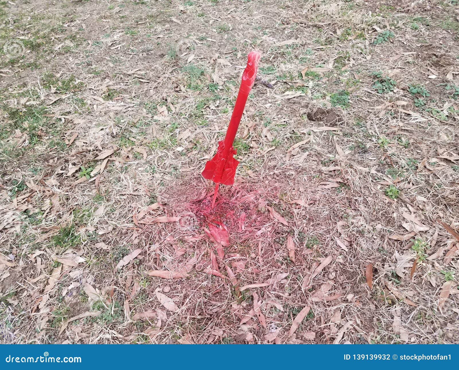 Spray Painted Red Model Rocket on Grass or Lawn Stock Photo - Image of ...