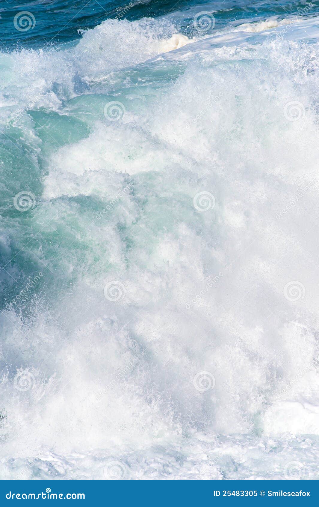 Spray of sea water stock image. Image of kelp, nature - 25483305