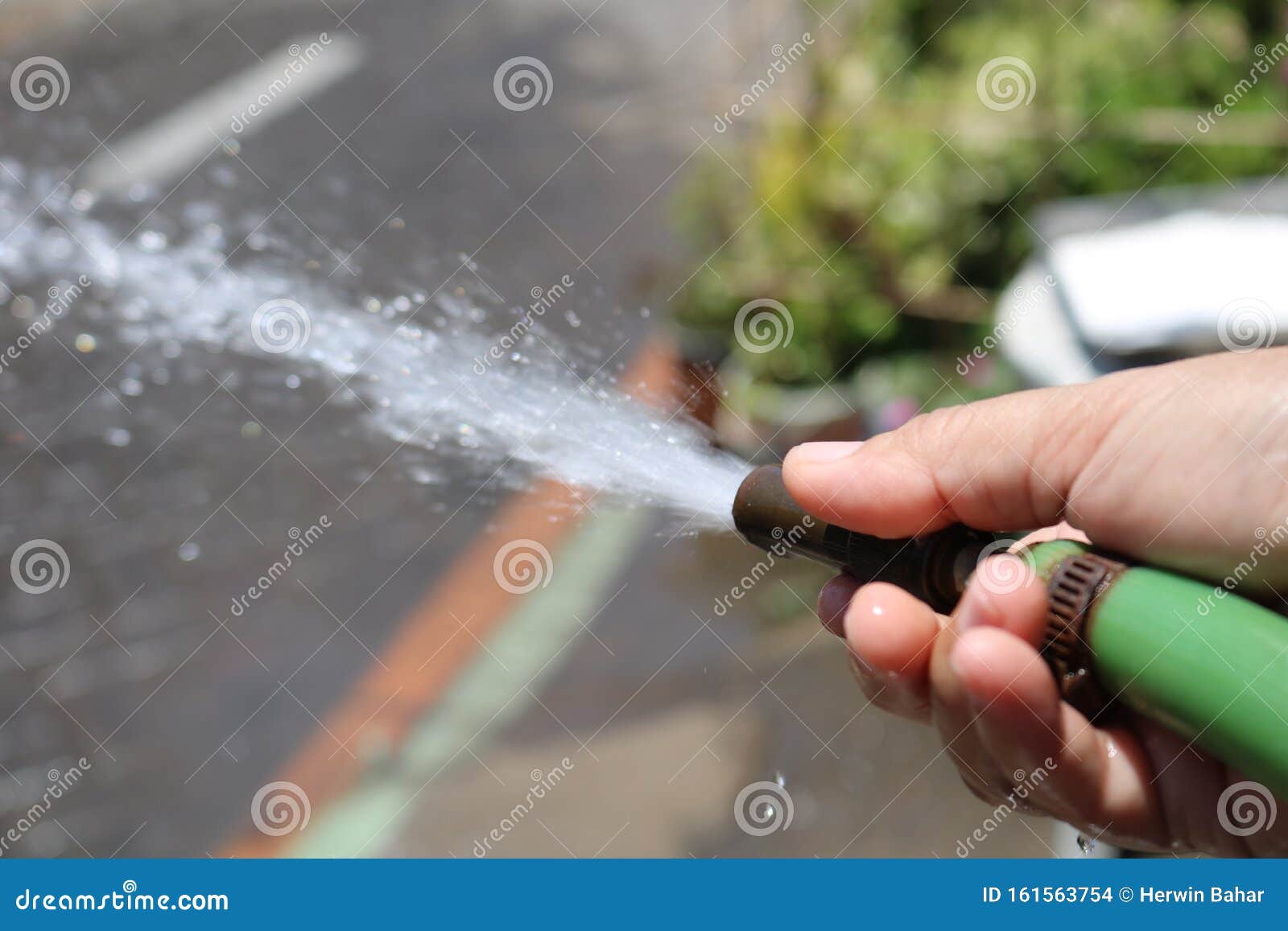 Spray Water Using a Hose To Water the Plants Stock Photo - Image of ...
