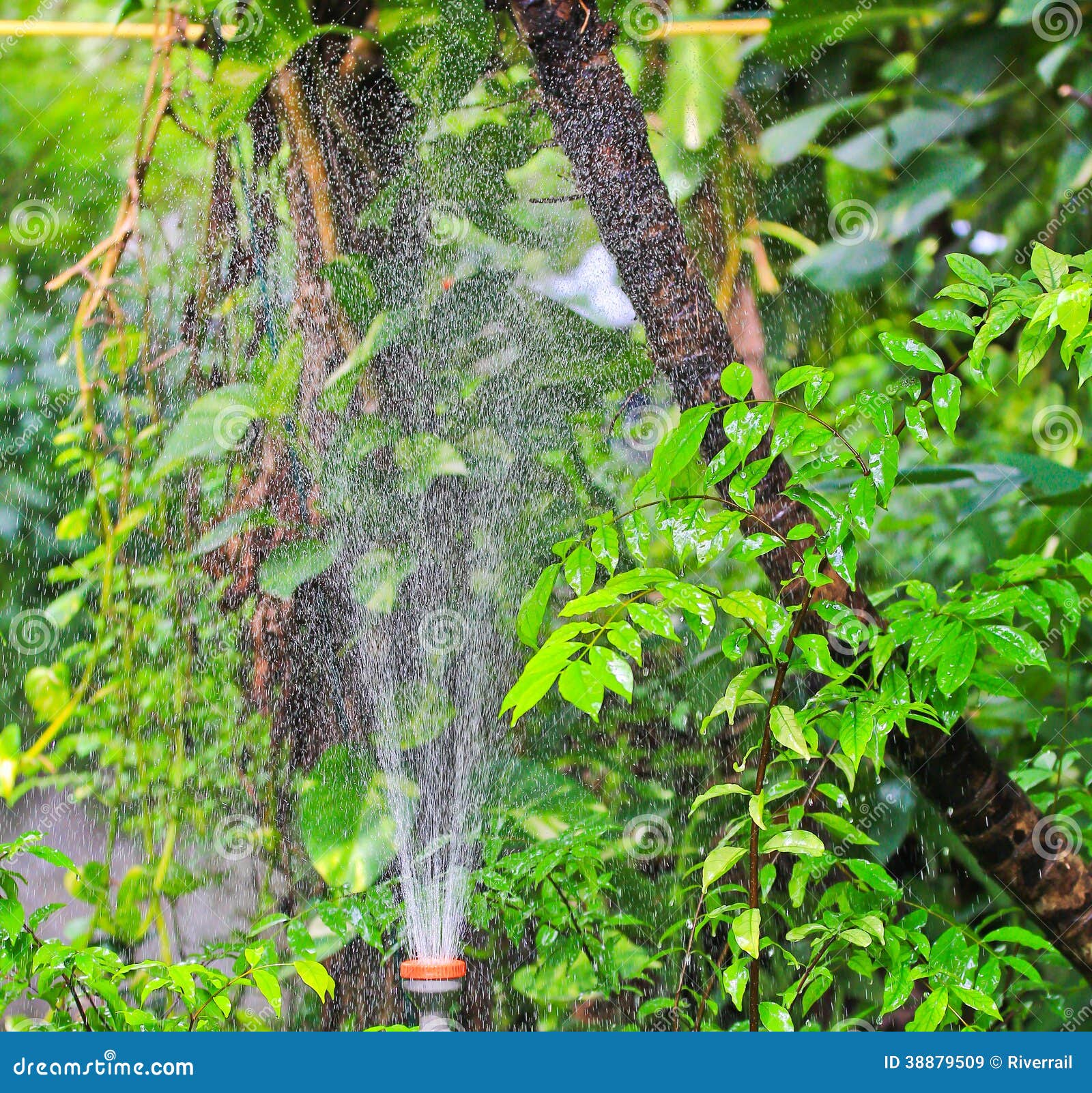 Sprayed Water from Sprinkler Stock Image - Image of irrigation ...