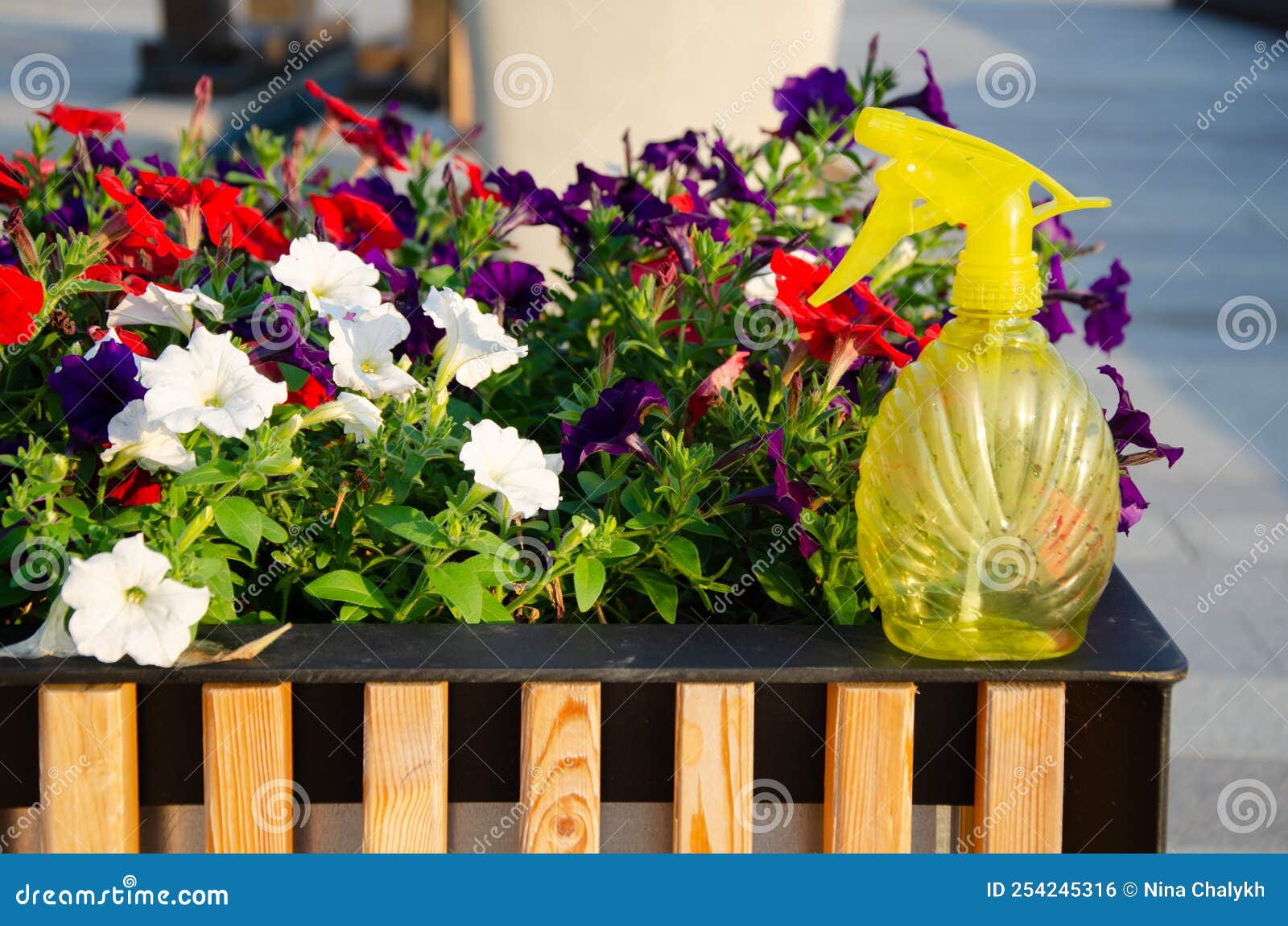 Sprayer for Spraying Plants. Flower Care, Landscaping, Gardening Stock ... Sprayer for Spraying Plants. Flower Care, Landscaping, Gardening Stock ...