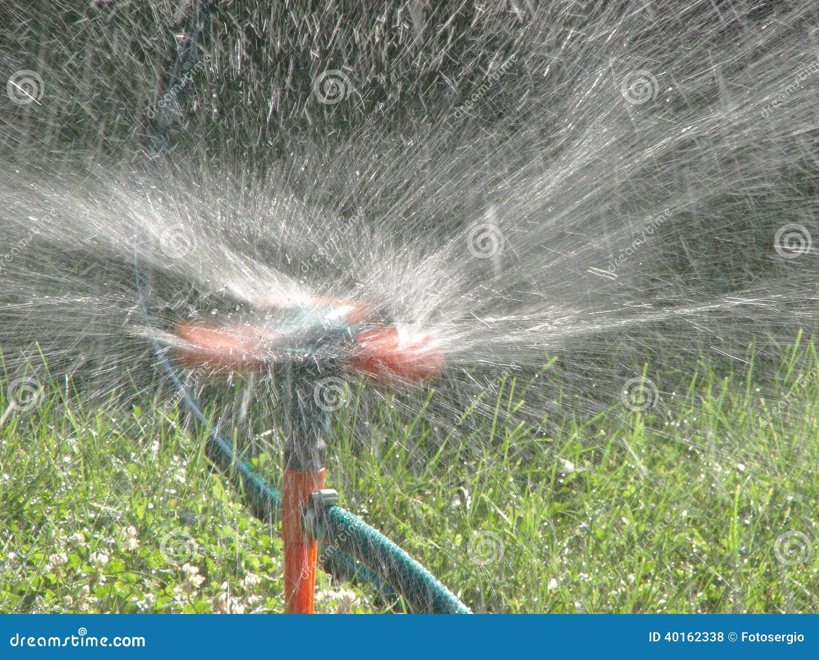 Sprayer Watering Green Grass Lawn Stock Photo - Image of improvement ...