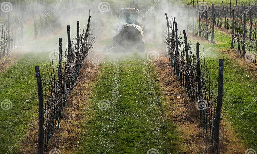 Spraying apple orchard stock photo. Image of plant, poison - 49009986