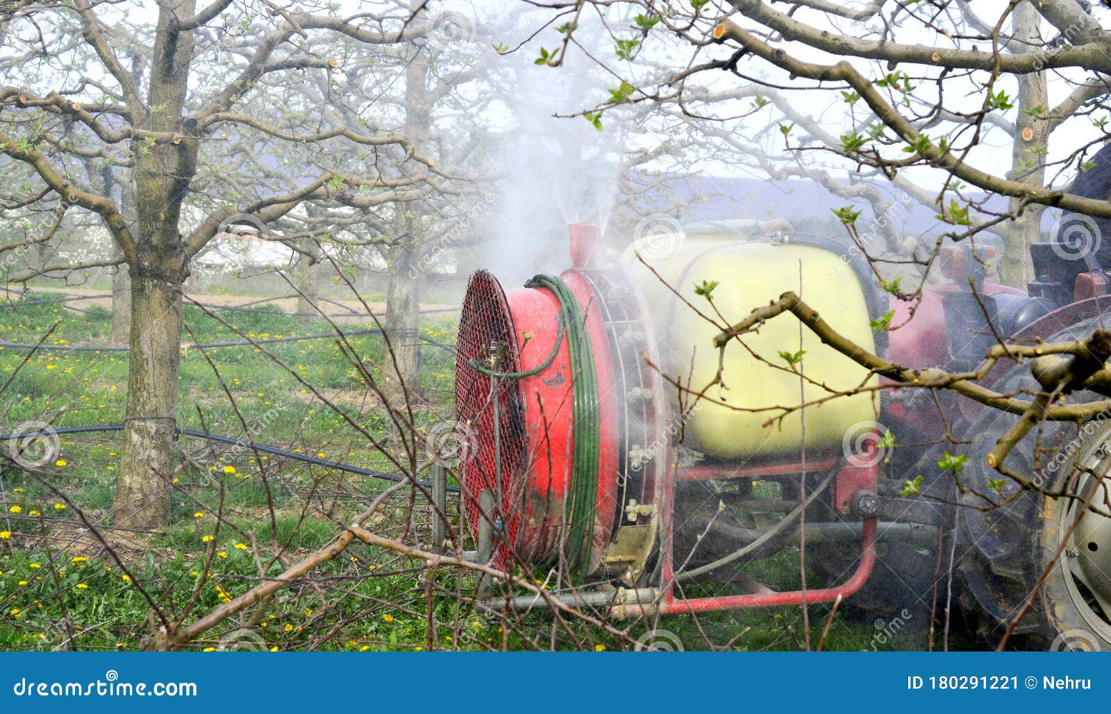 Spraying Apple Orchard in Spring Image Stock Image - Image of toxic ...