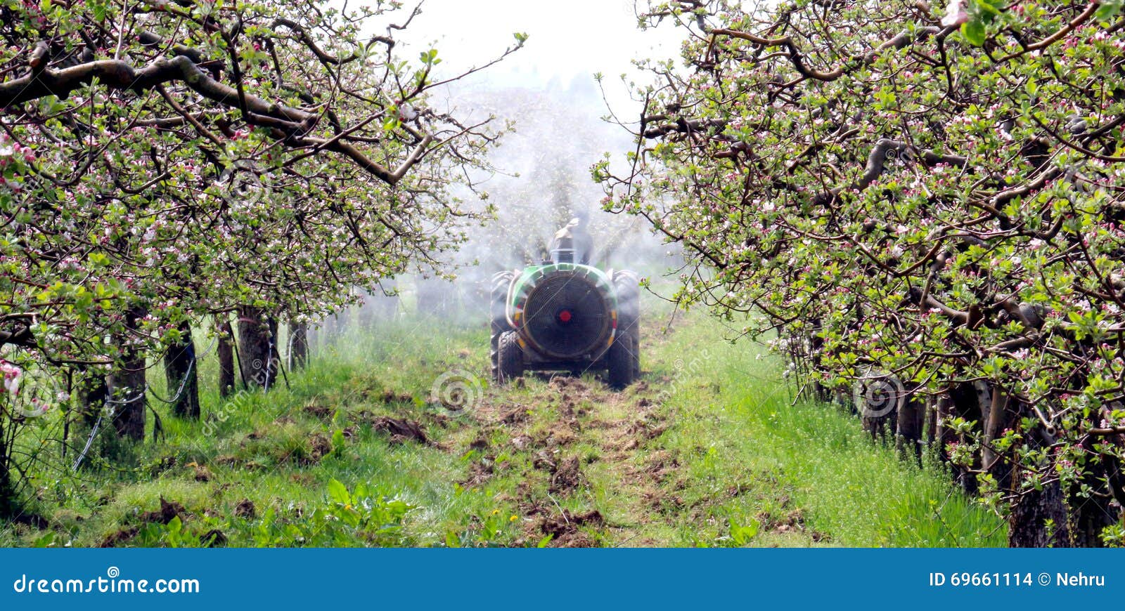 Spraying Apple Orchard in Spring Stock Photo - Image of pesticide ...