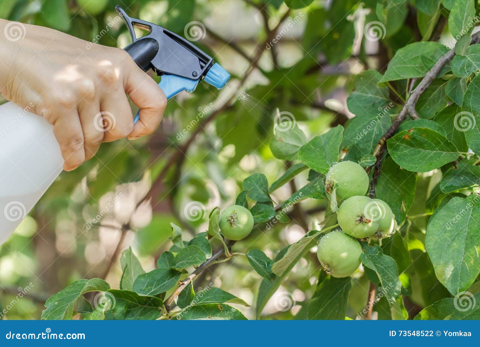 Spraying Apple Trees from Pests Stock Photo - Image of equipment ...
