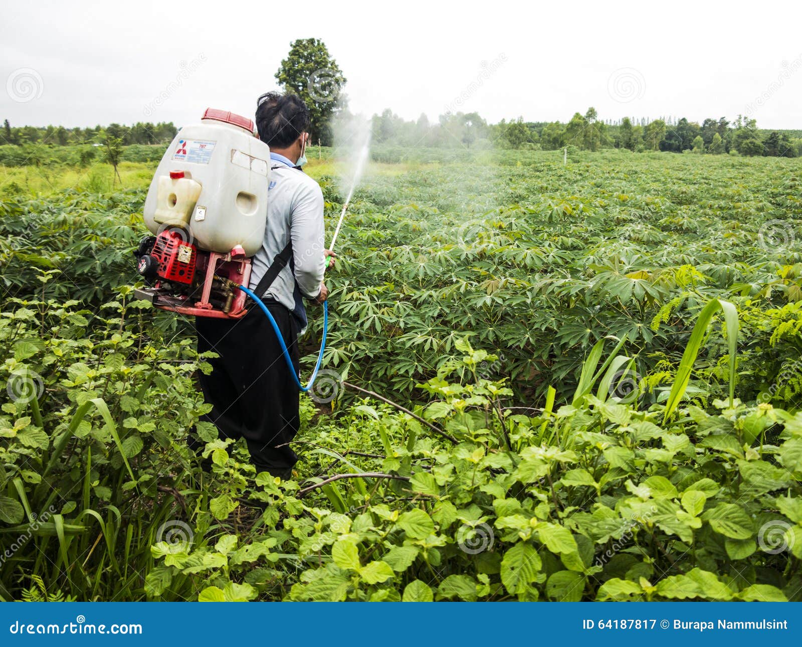 Spraying chemical editorial photography. Image of agribusiness - 64187817