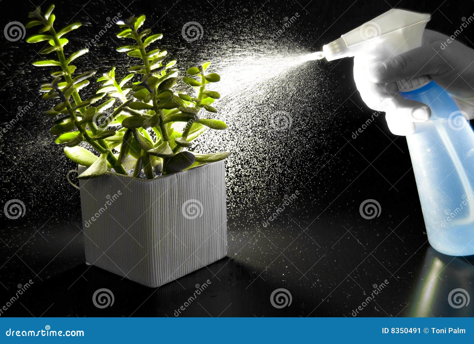 Spraying the Essence of Life Stock Image - Image of water, strobist ...