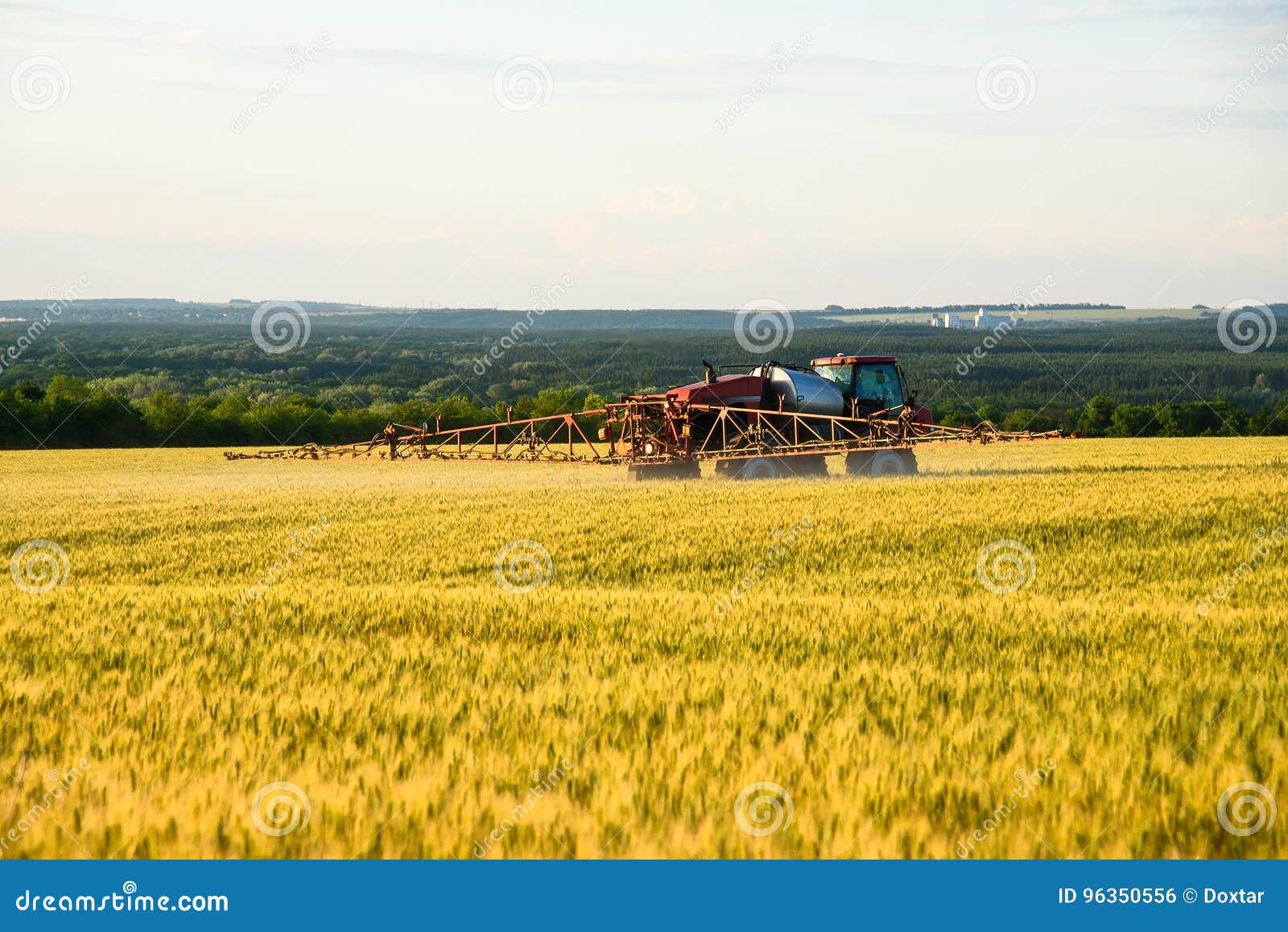 Spraying Fertilizer Fields with Wheat Stock Photo - Image of agronomic ...