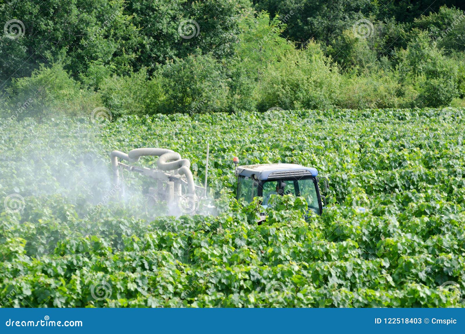 Spraying fields stock image. Image of vines, fields - 122518403