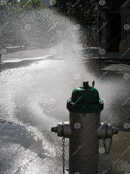 Spraying Fire Hydrant stock image. Image of rescued, pavement - 193047