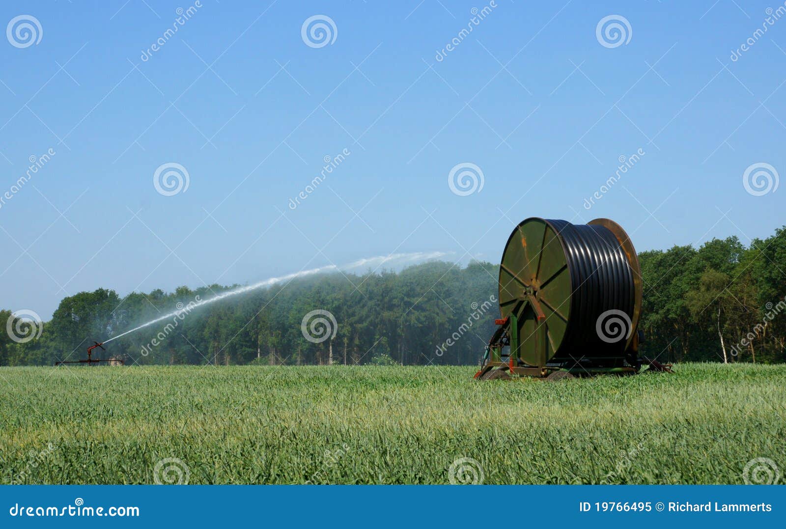 Spraying grain stock image. Image of irrigate, plant - 19766495