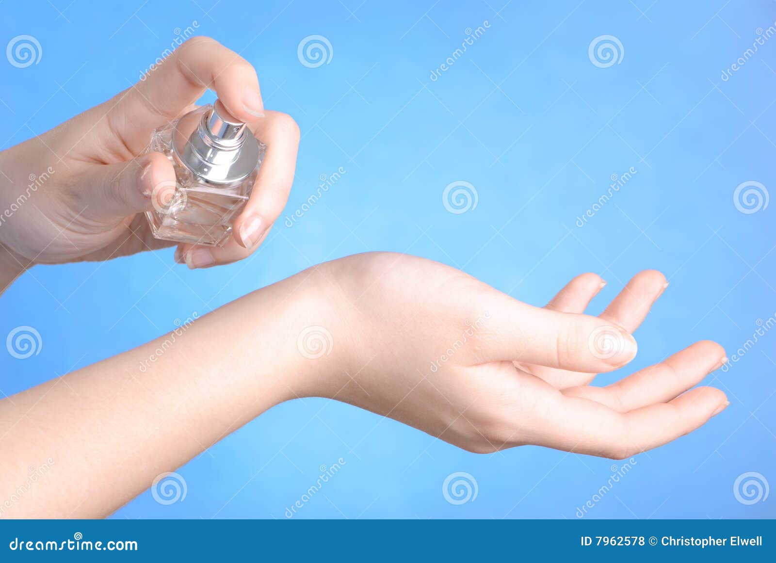 Spraying Perfume stock photo. Image of female, bottle - 7962578