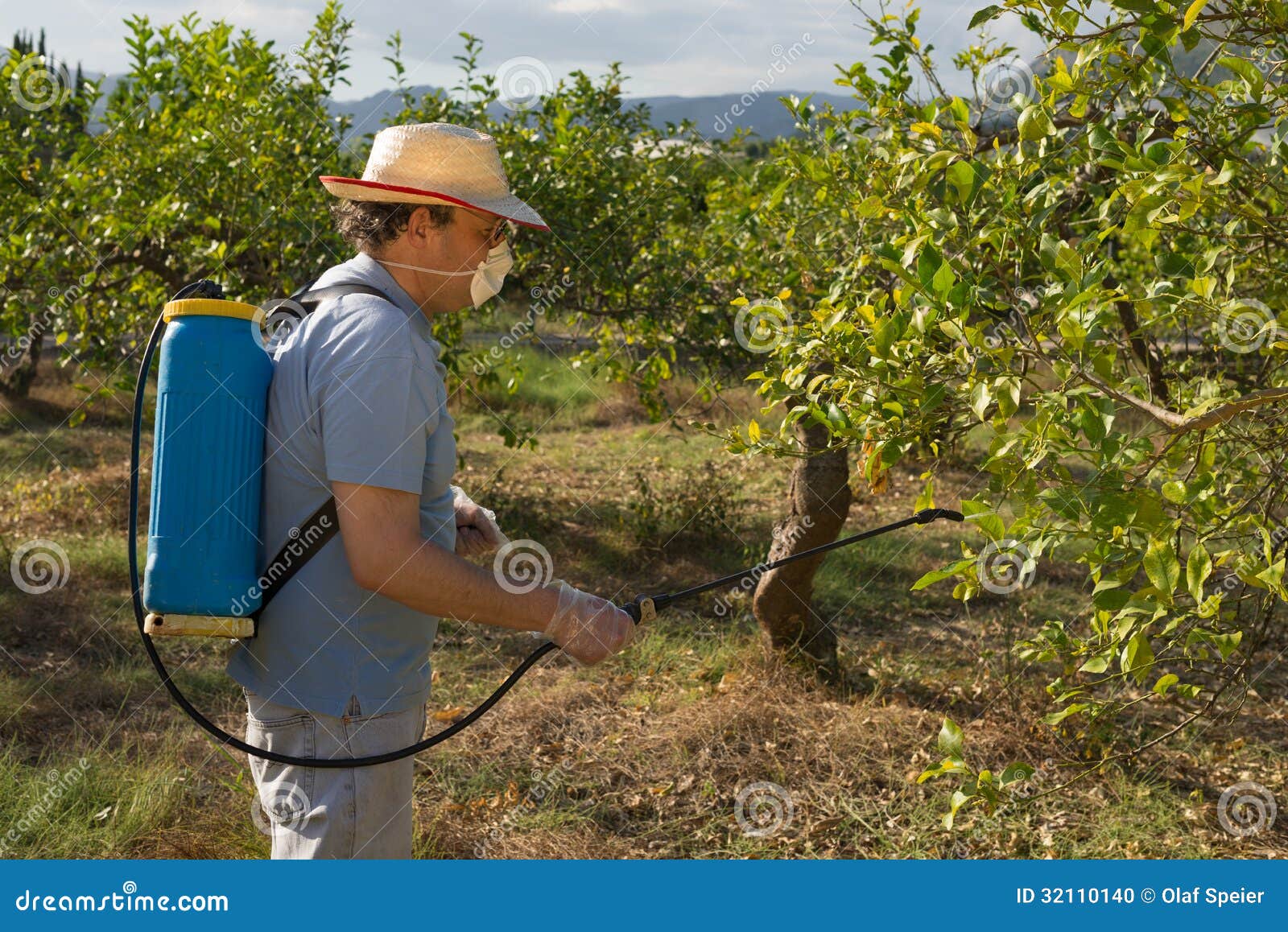 Spraying pesticide stock photo. Image of trees, orchard - 32110140