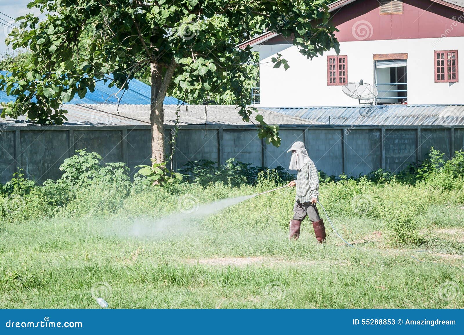 Spraying pesticide stock image. Image of environment - 55288853