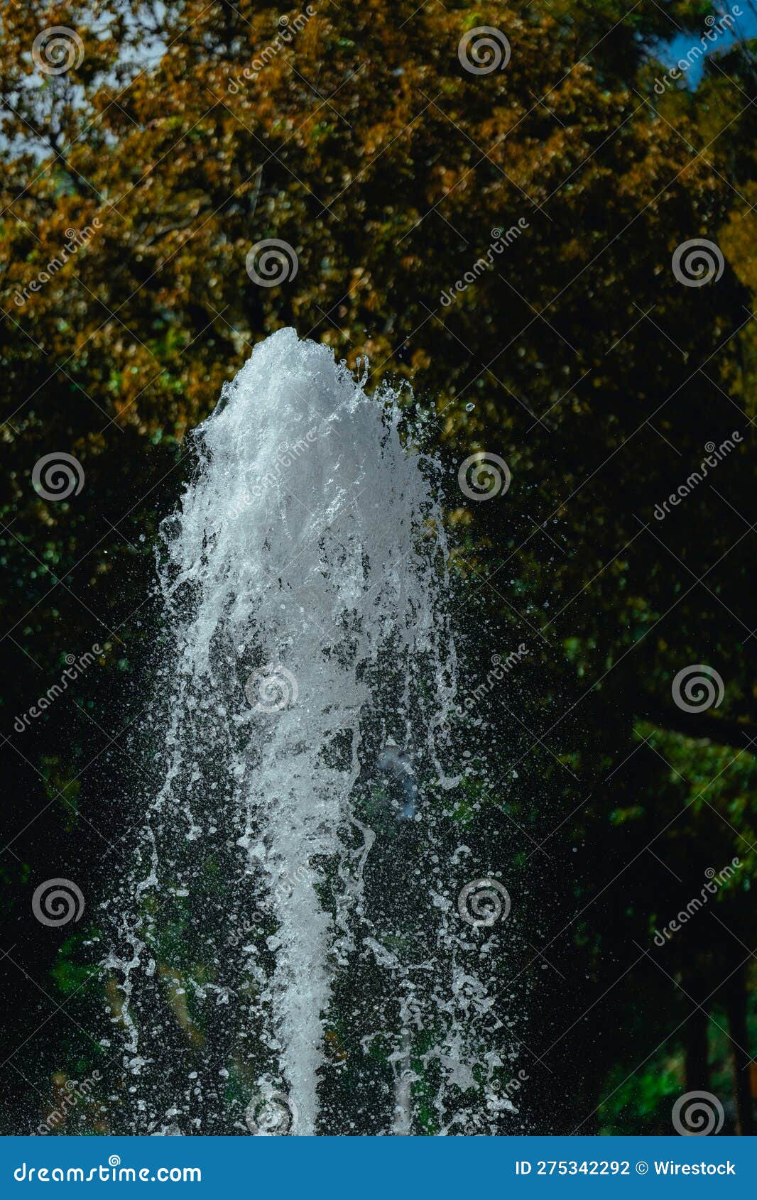Spraying of a Powerful Stream of Water into the Air Stock Photo - Image ...