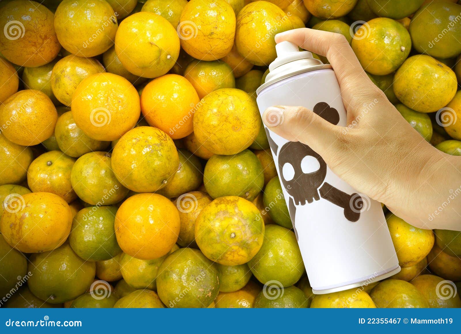 Spraying Toxic Chemicals into the Oranges Stock Image - Image of poison ...