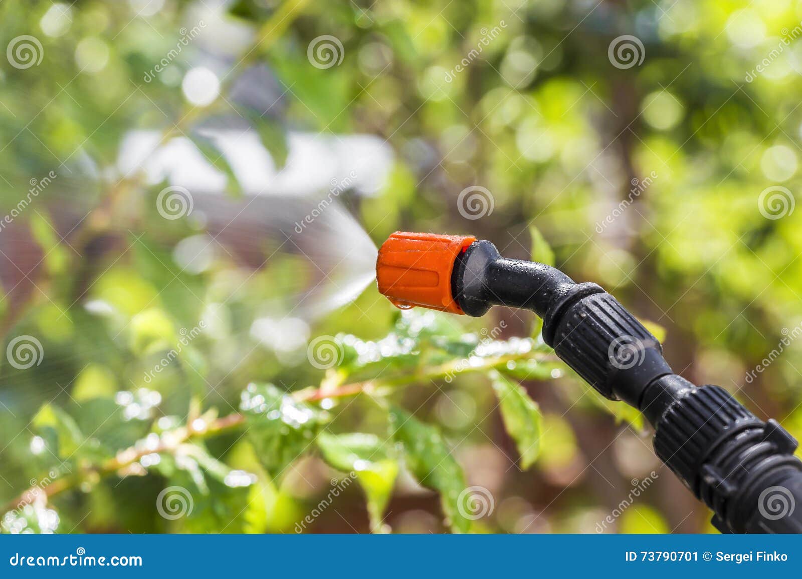 Spraying Trees Against Pests Stock Image - Image of aerosol, control ...
