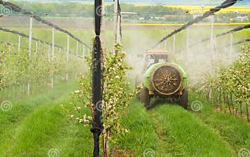 Spraying trees orchard stock image. Image of farming - 14218993