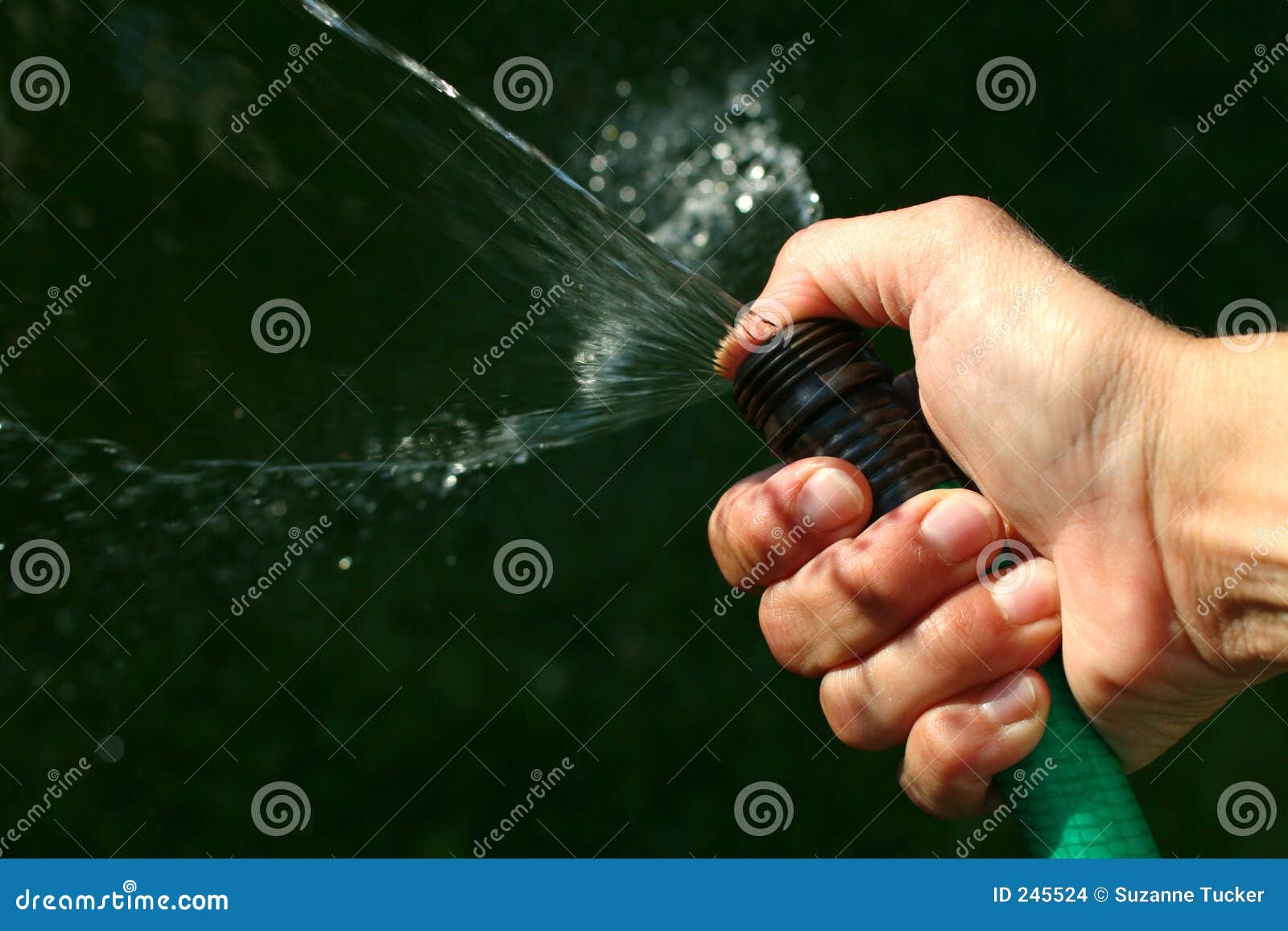 Spraying Water with the Hose Stock Photo - Image of finger, soak: 245524