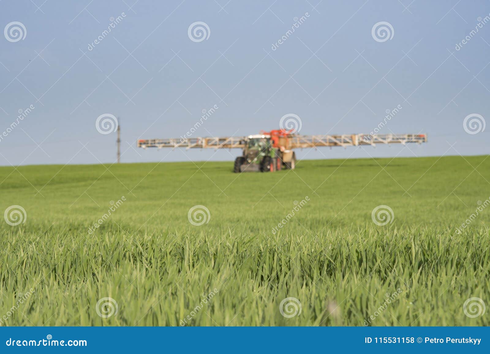 Spraying wheat field stock photo. Image of fertilizer - 115531158