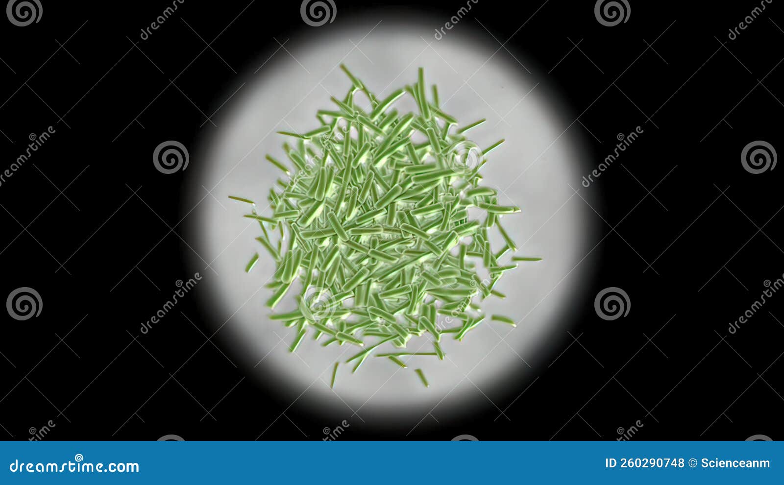 Spread of Bacteria 3d Medical Stock Illustration - Illustration of ...