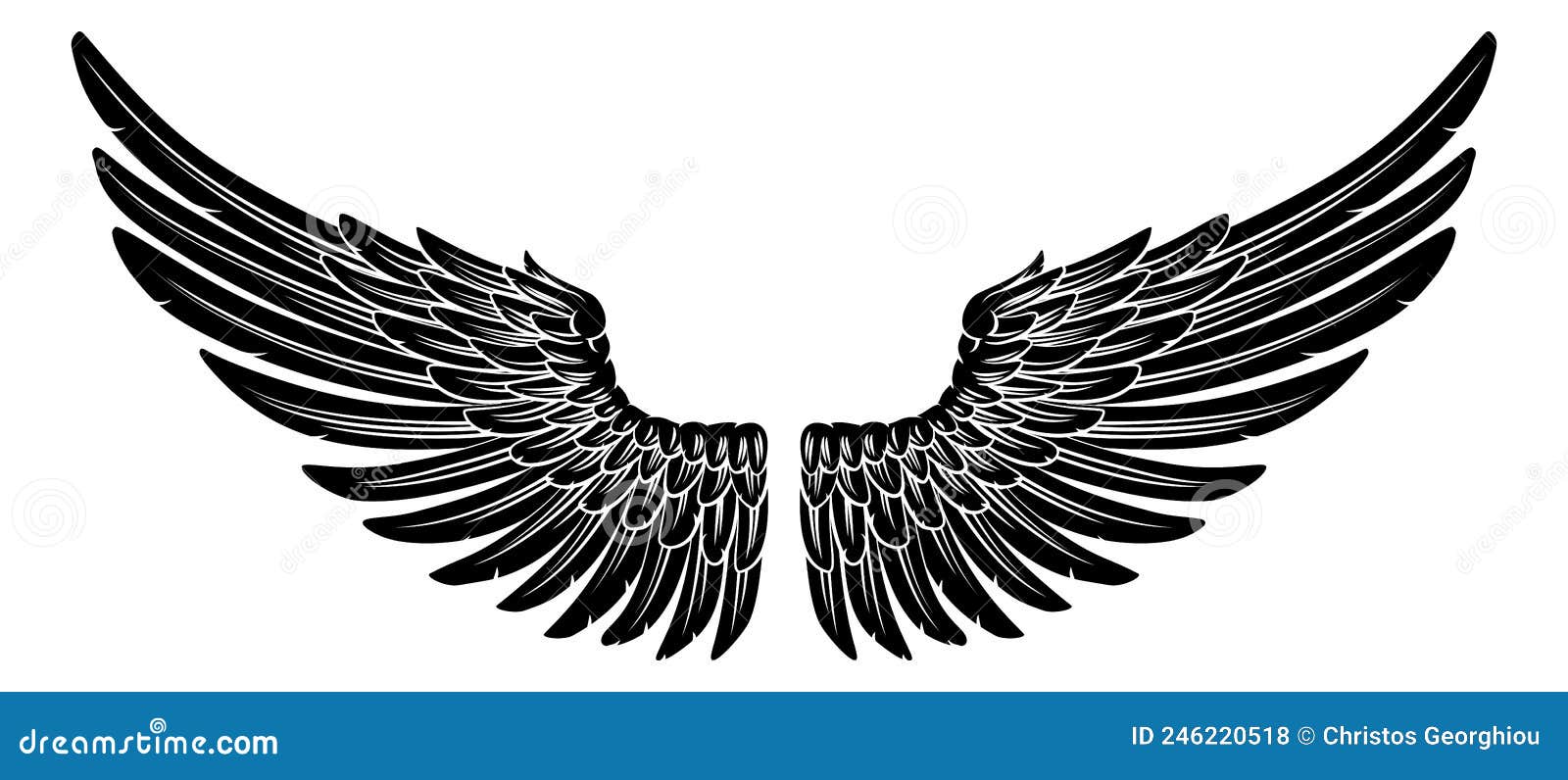 Spread Pair Of Angel Or Eagle Feather Wings Vector Illustration ...