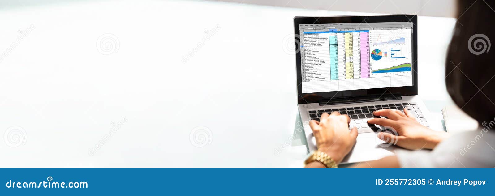 Spreadsheet on Laptop stock image. Image of auditor - 255772305