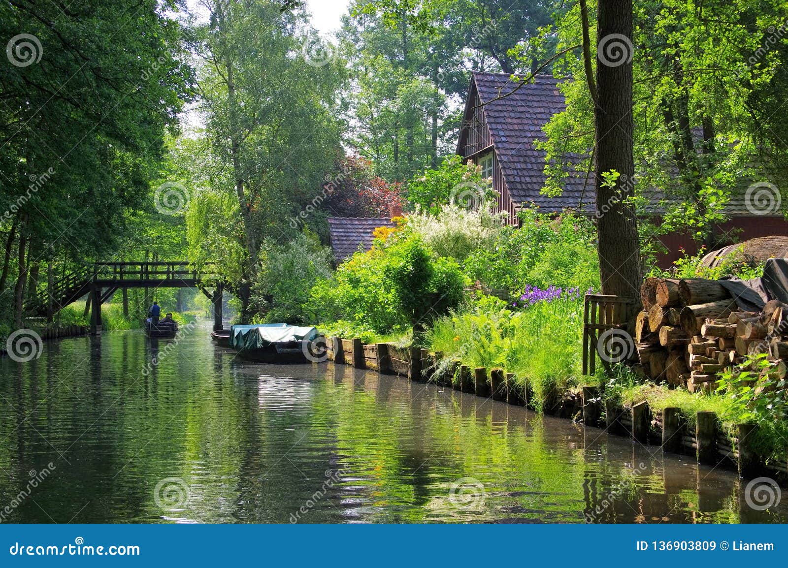 Spree Forest House on the Water Stock Image - Image of landscape ...