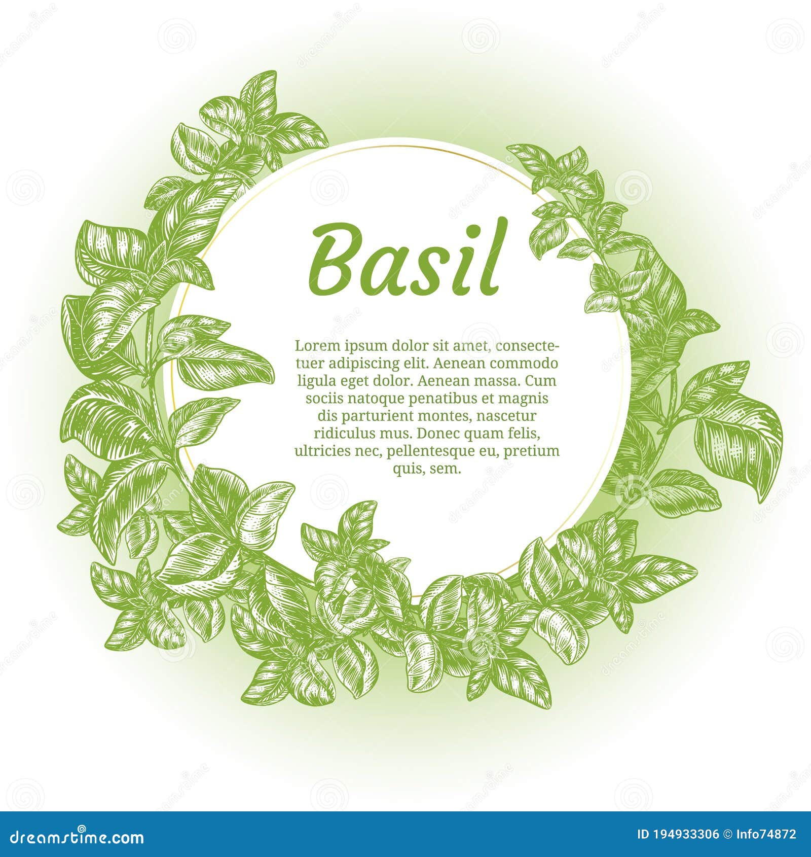 Sprig of Basil. Design Template. Vector Illustration Stock Vector ...