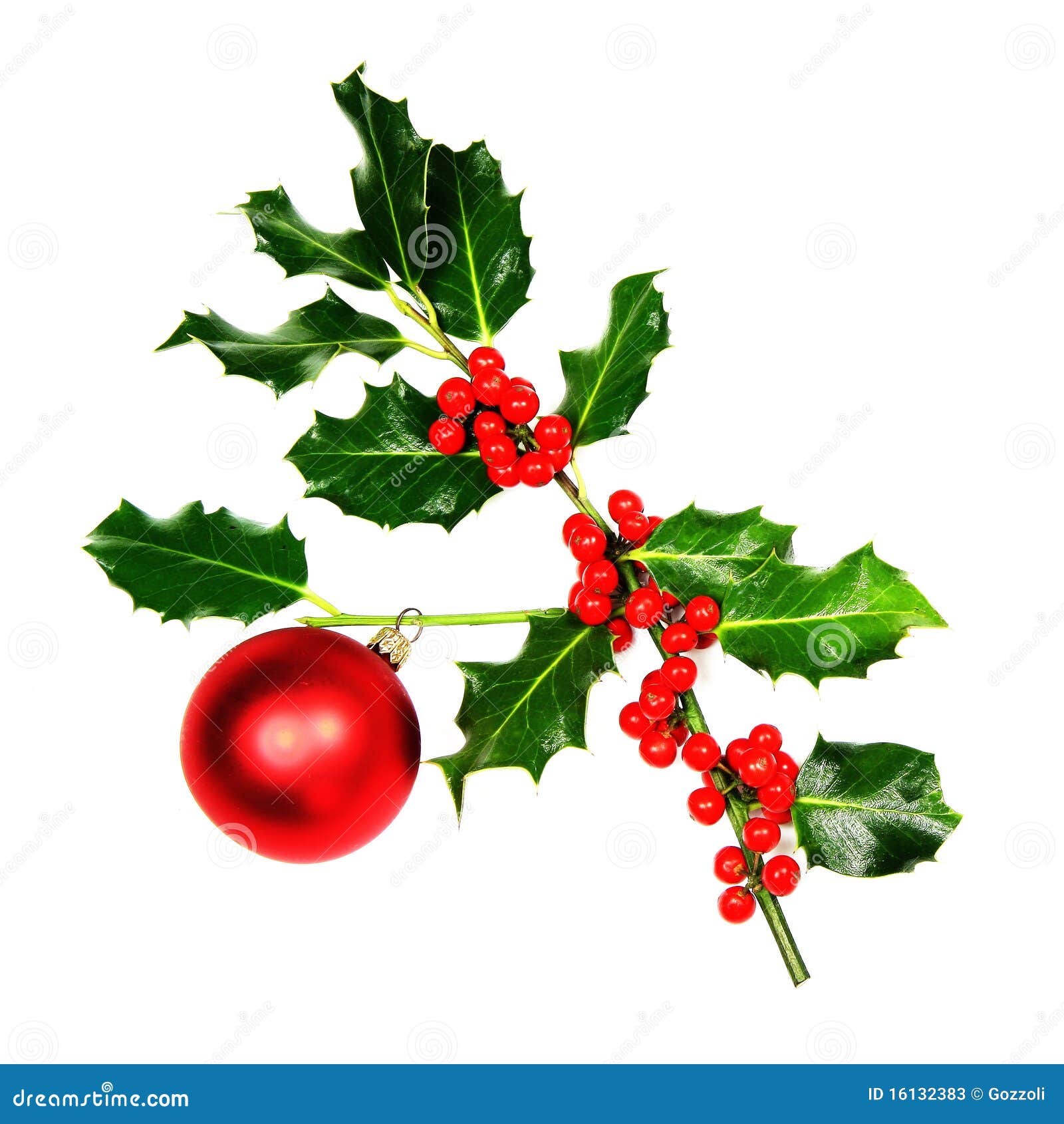 Sprig of Christmas Holly stock image. Image of flora - 16132383
