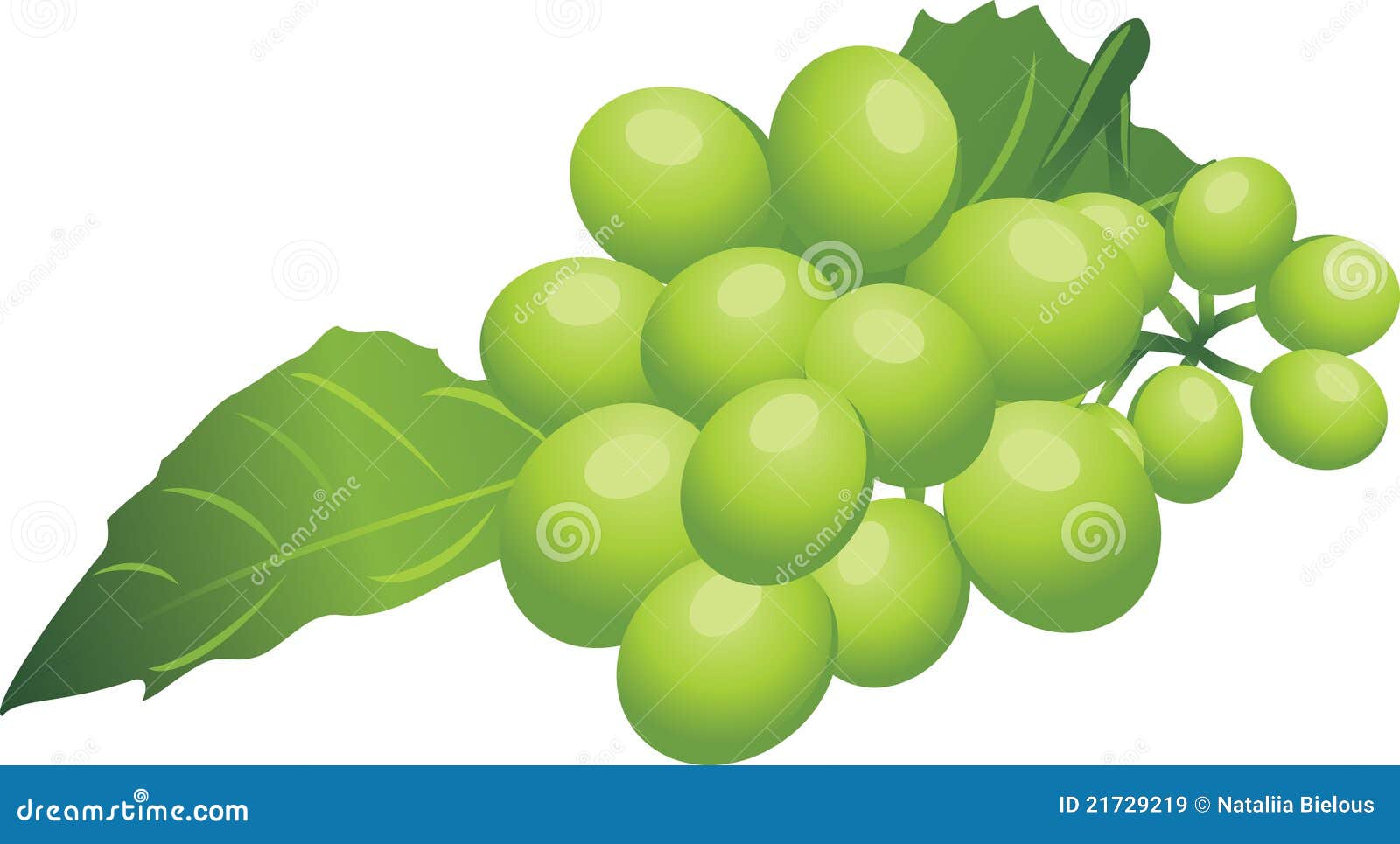 Green Grape Icon Set. Fruits Group Vector Illustration. Different ...