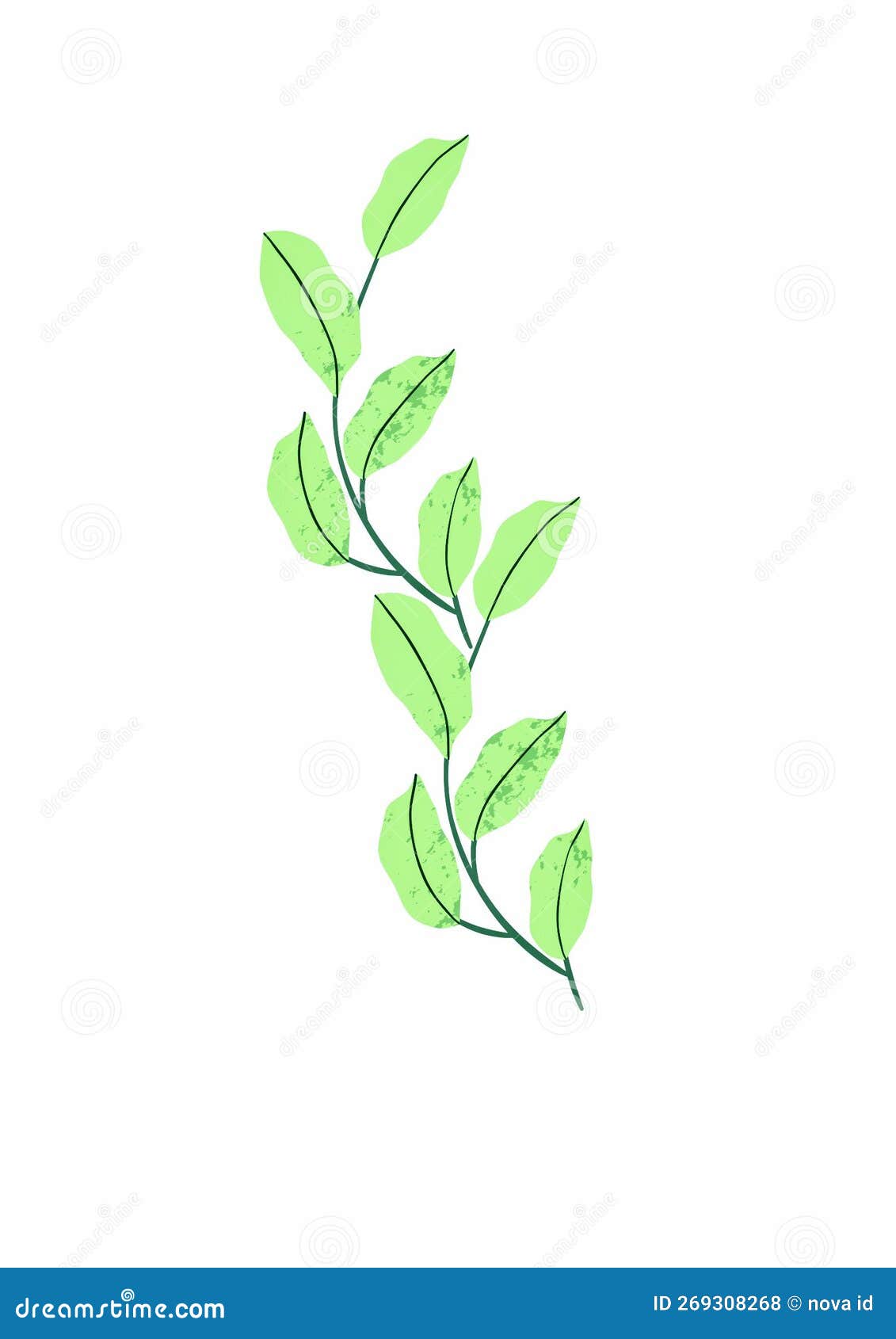 A Sprig of Green Leaf, Vector Illustration, Clip Art Stock Illustration ...