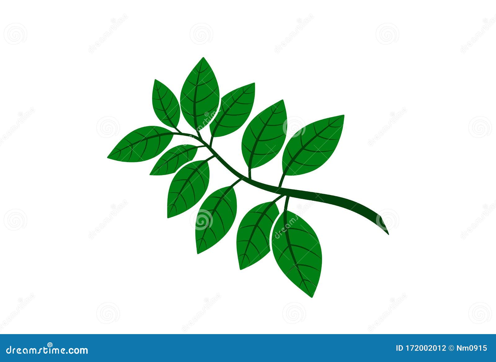 Sprig with Green Leaves. Plant Design Element. Vector Hand Drawn Image ...
