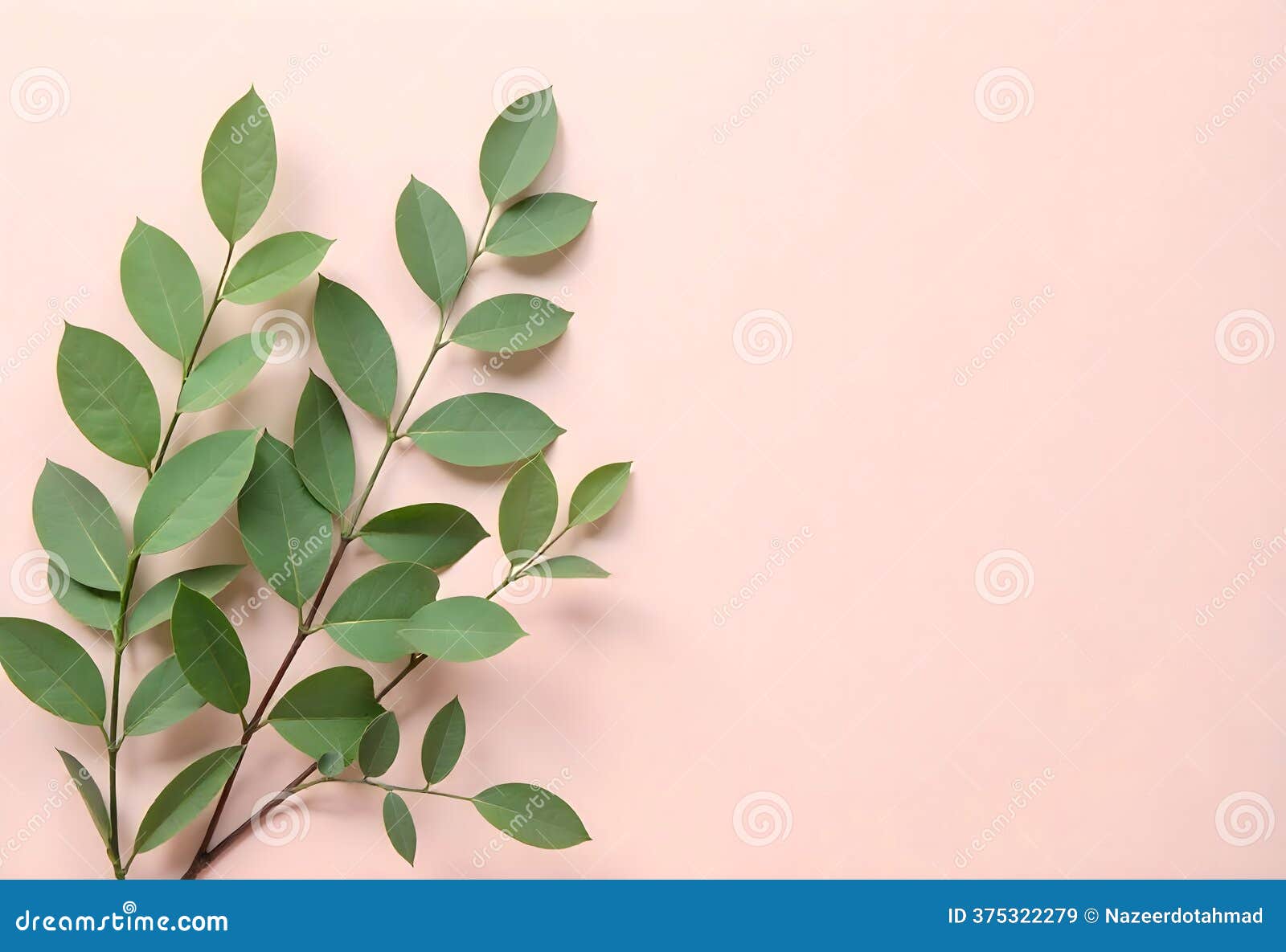 Plain Soft Linen Texture, Cream Colored, White Background, High ...