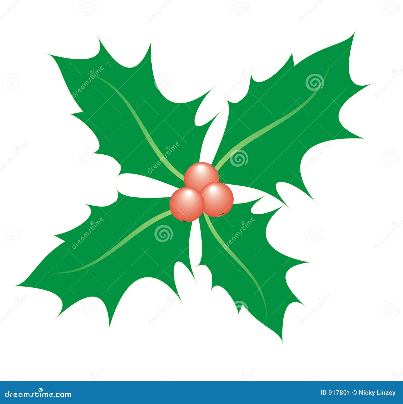 Sprig of holly stock vector. Illustration of tree, trees - 917801