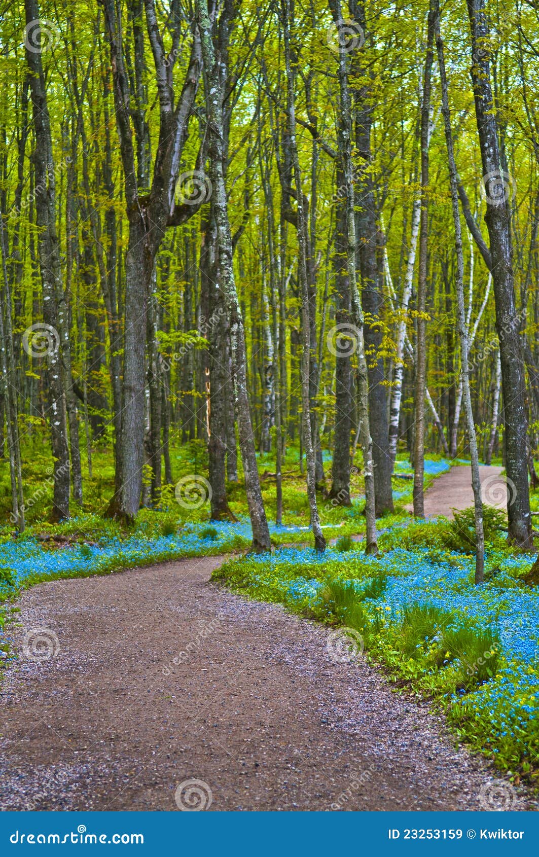 Spring in Michigan stock image. Image of blossom, white - 23253159