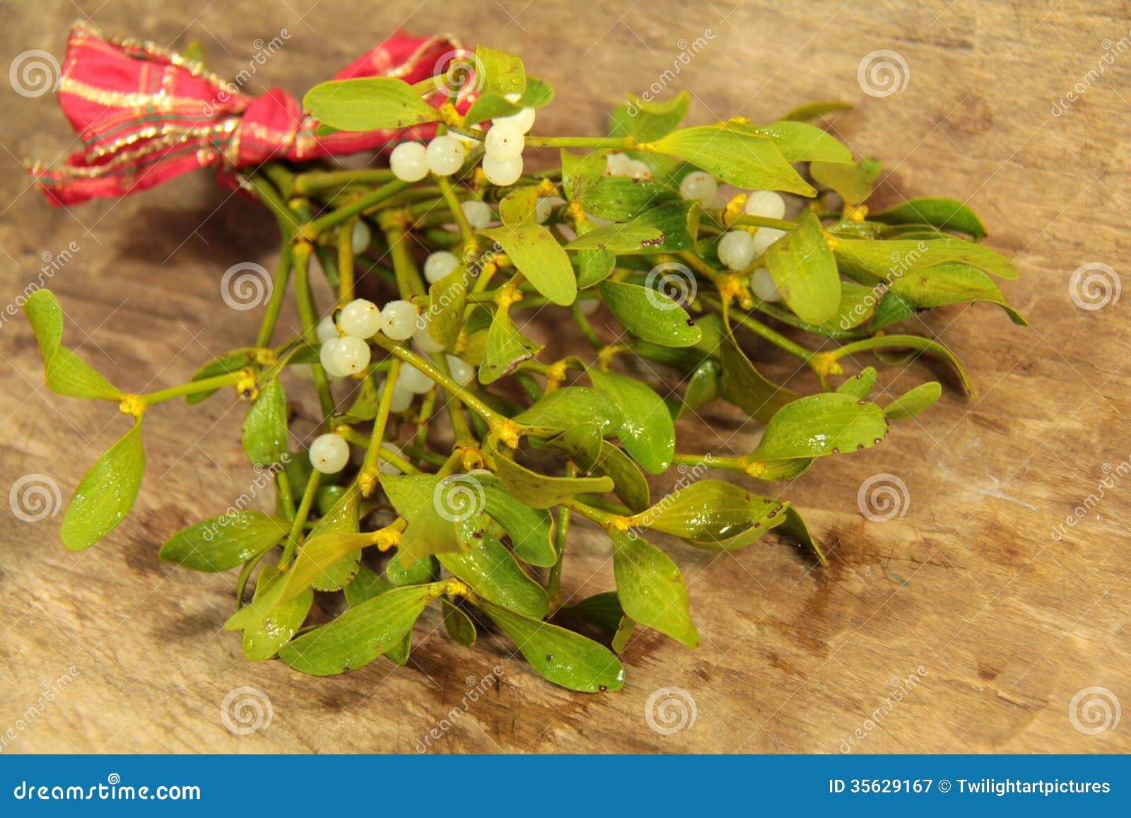 Sprig Of Mistletoe Stock Photography | CartoonDealer.com #35494724