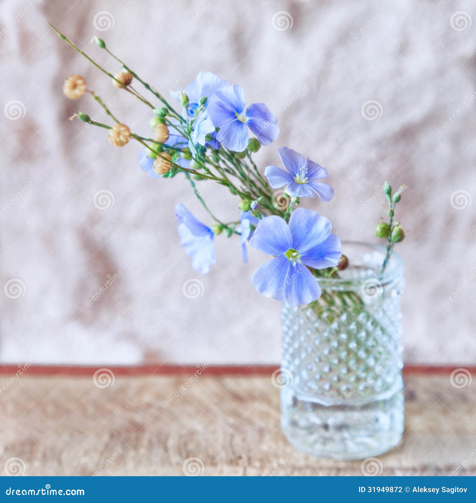 Sprigs Flax Flowers Stock Photos - Free & Royalty-Free Stock Photos ...