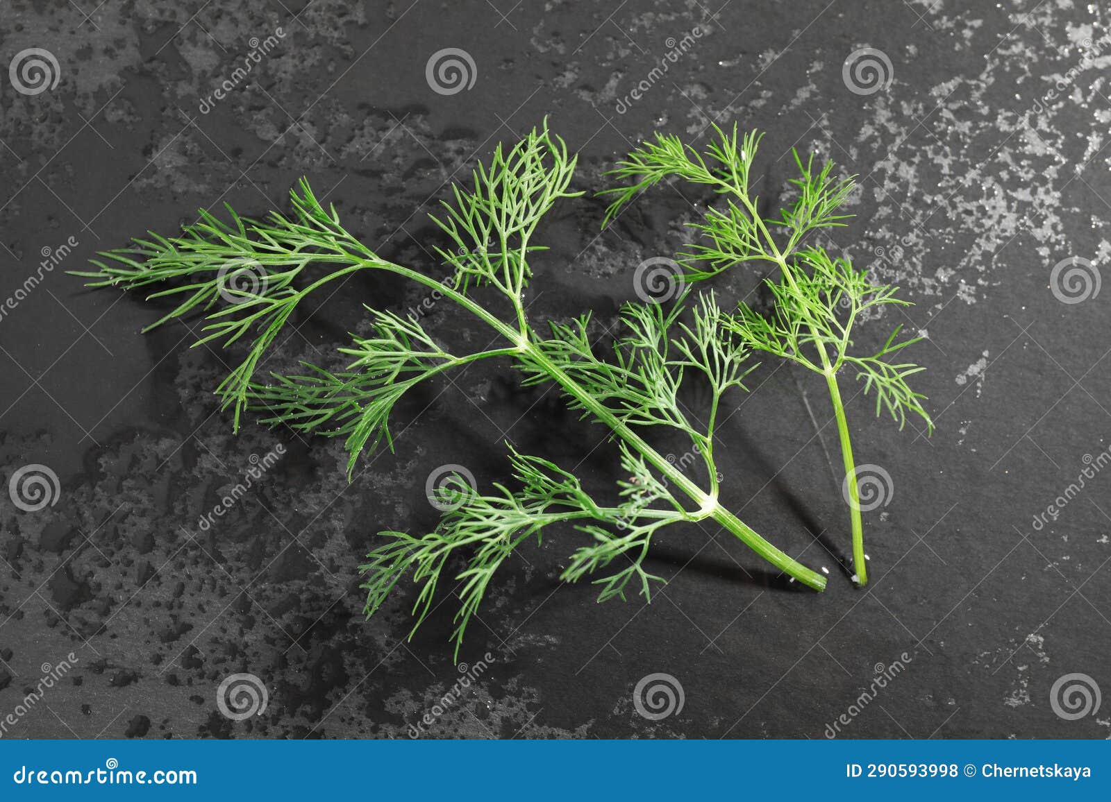 Sprigs of Fresh Dill on Grey Textured Table, Top View Stock Photo ...