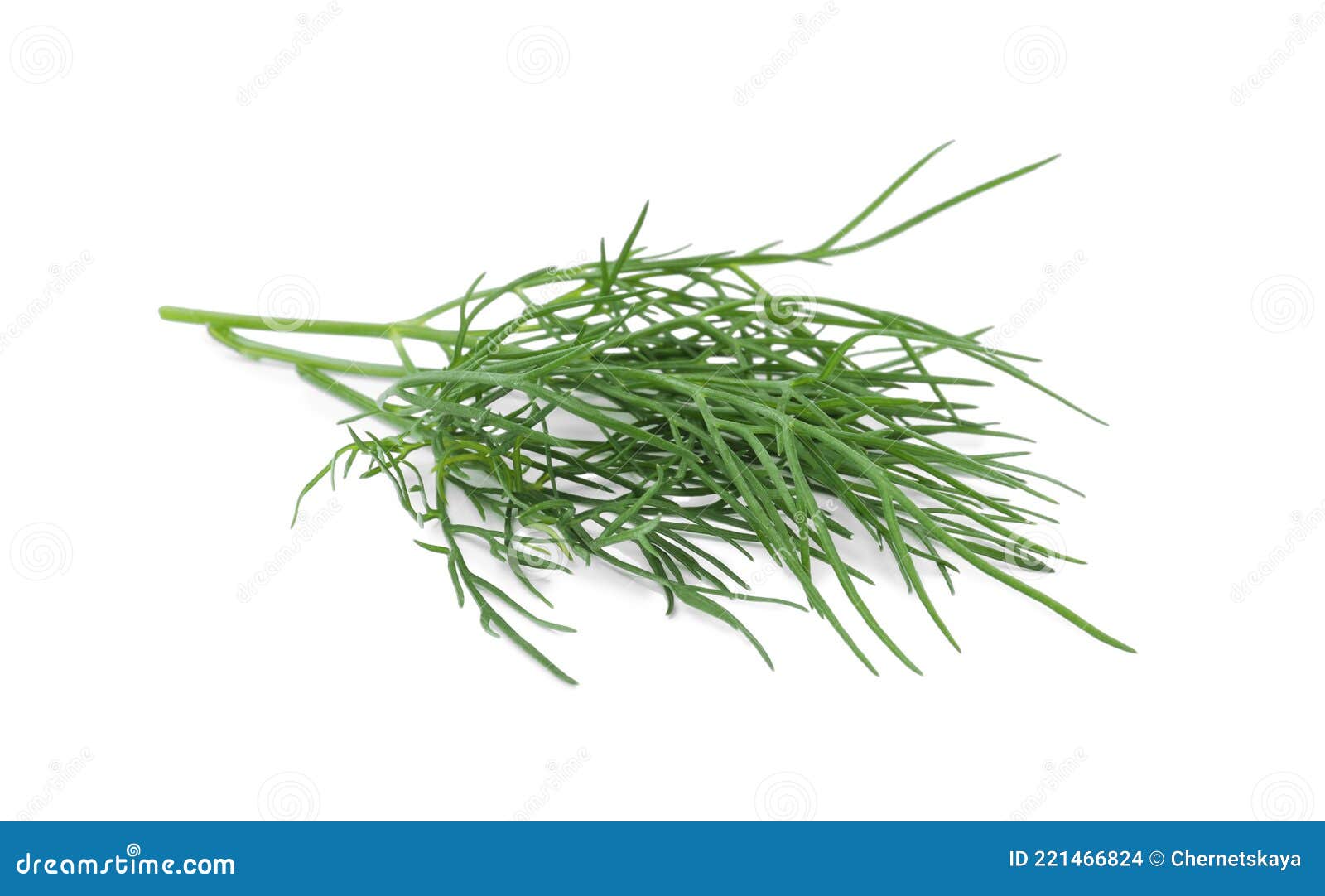 Sprigs of Fresh Dill Isolated on White Stock Photo - Image of garnish ...