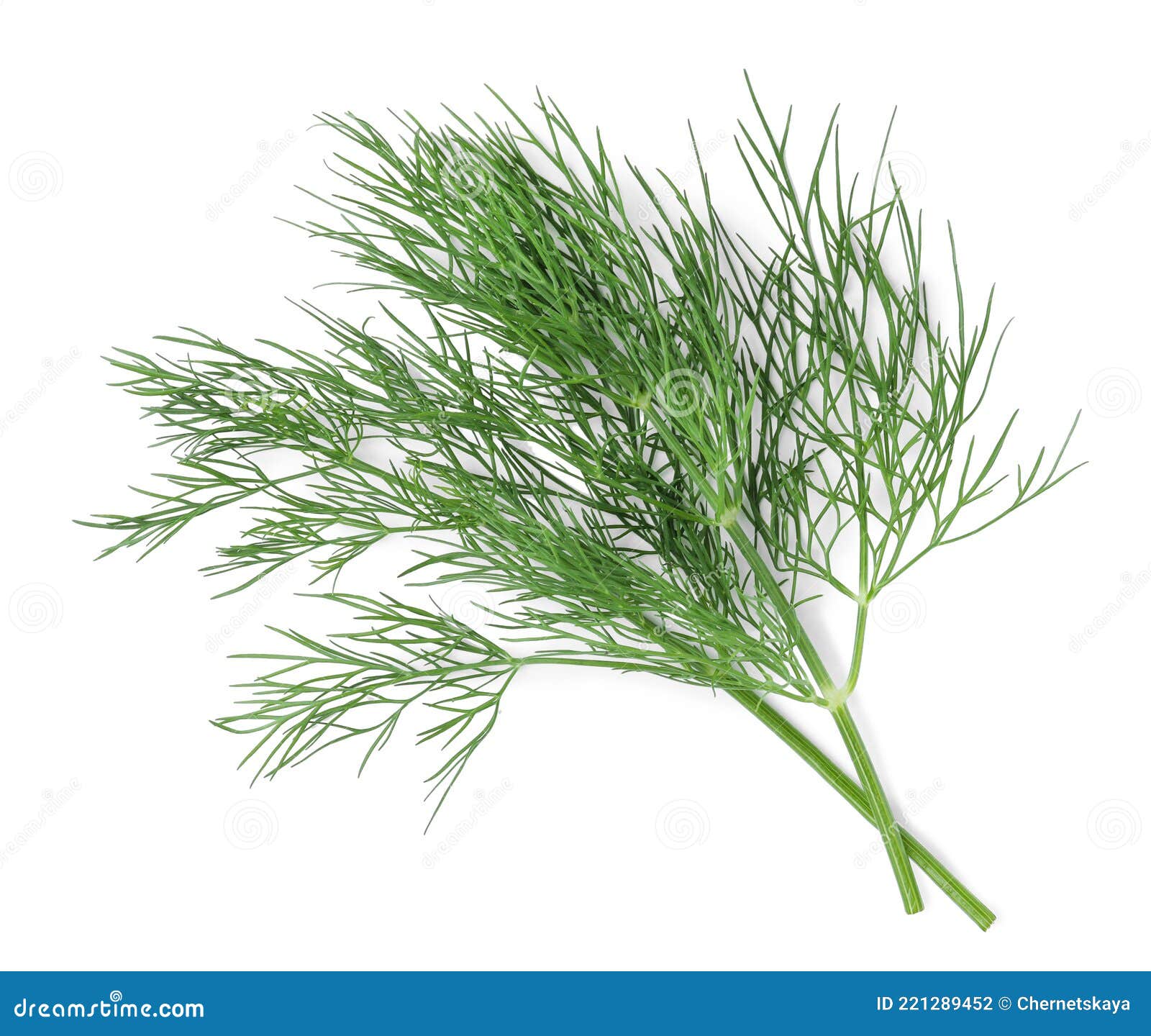 Sprigs of Fresh Dill Isolated on White, Top View Stock Photo - Image of ...
