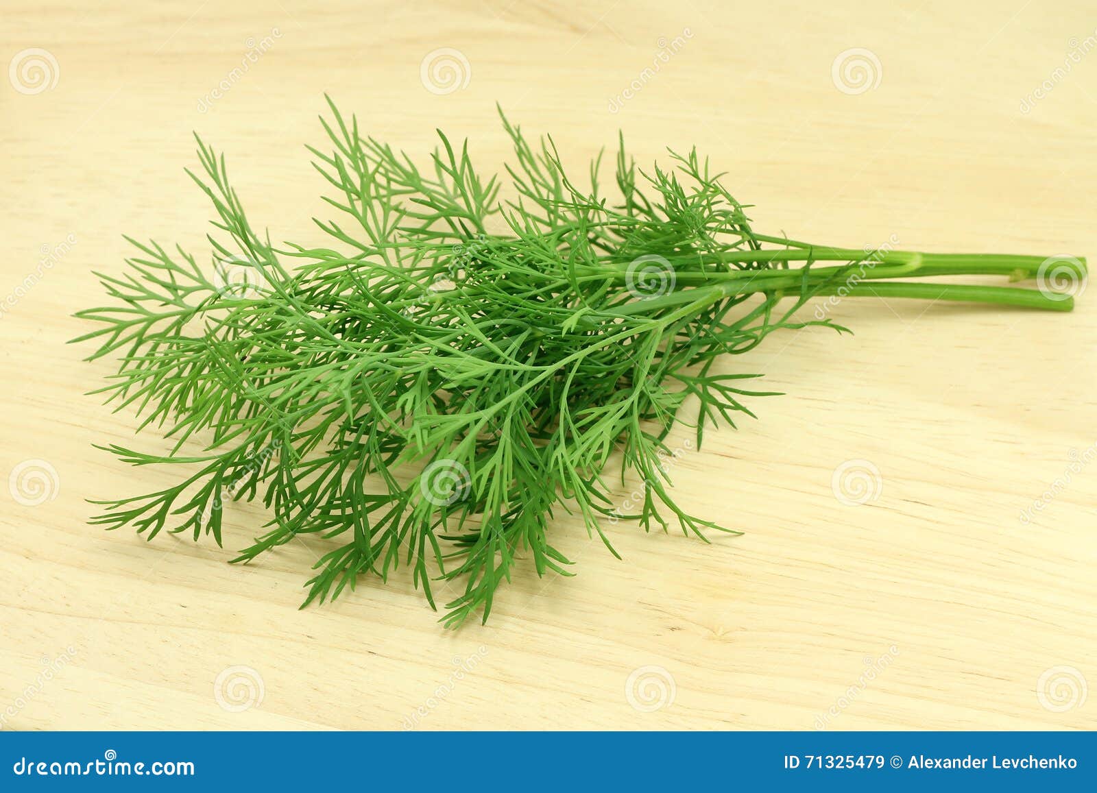 Sprigs of fresh dill stock image. Image of fennel, sprigs - 71325479
