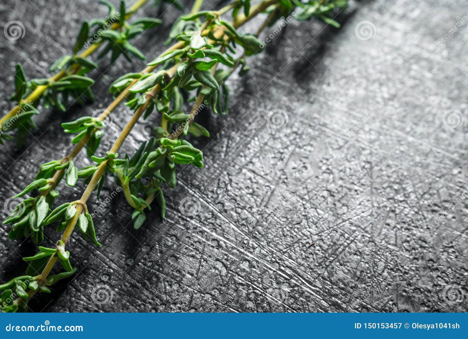 Sprigs of fresh thyme stock image. Image of ingredient - 150153457