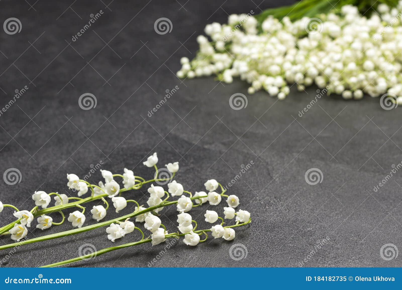 Sprigs of Spring Lilies of the Valley Close-up. Black Background Stock ...