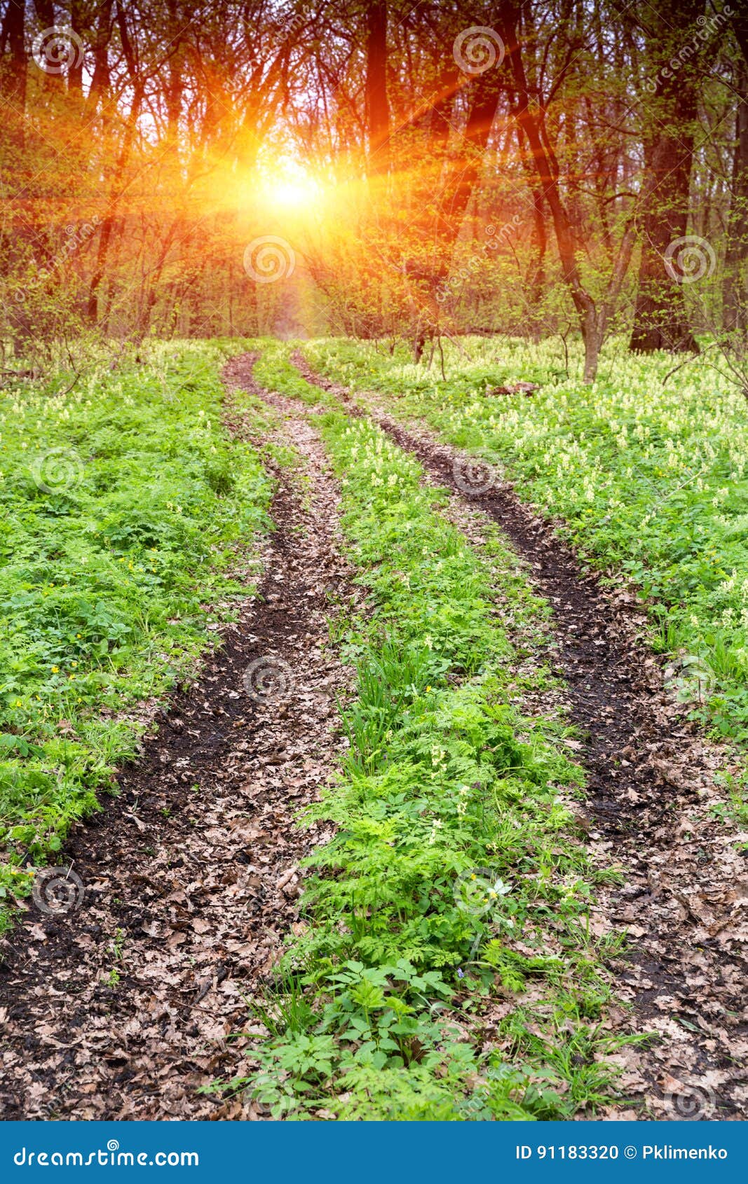 116 Sprin Road Stock Photos - Free & Royalty-Free Stock Photos from ...