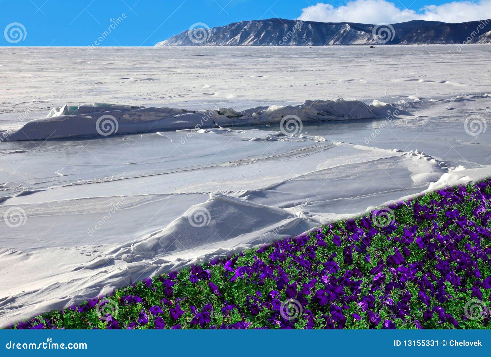 Spring stock image. Image of horizon, frost, environment - 13155331
